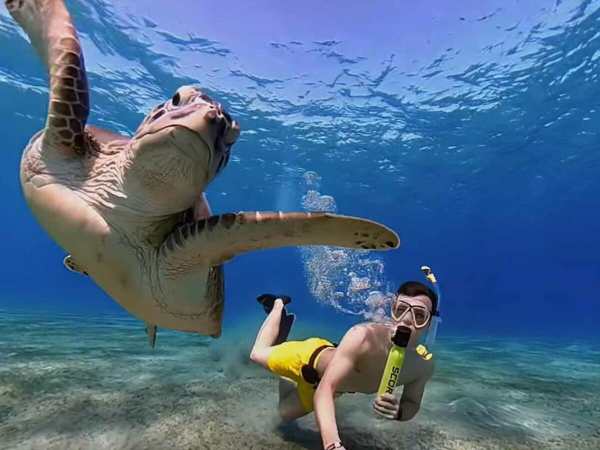 Le Super Snorkeling – EscapeSea